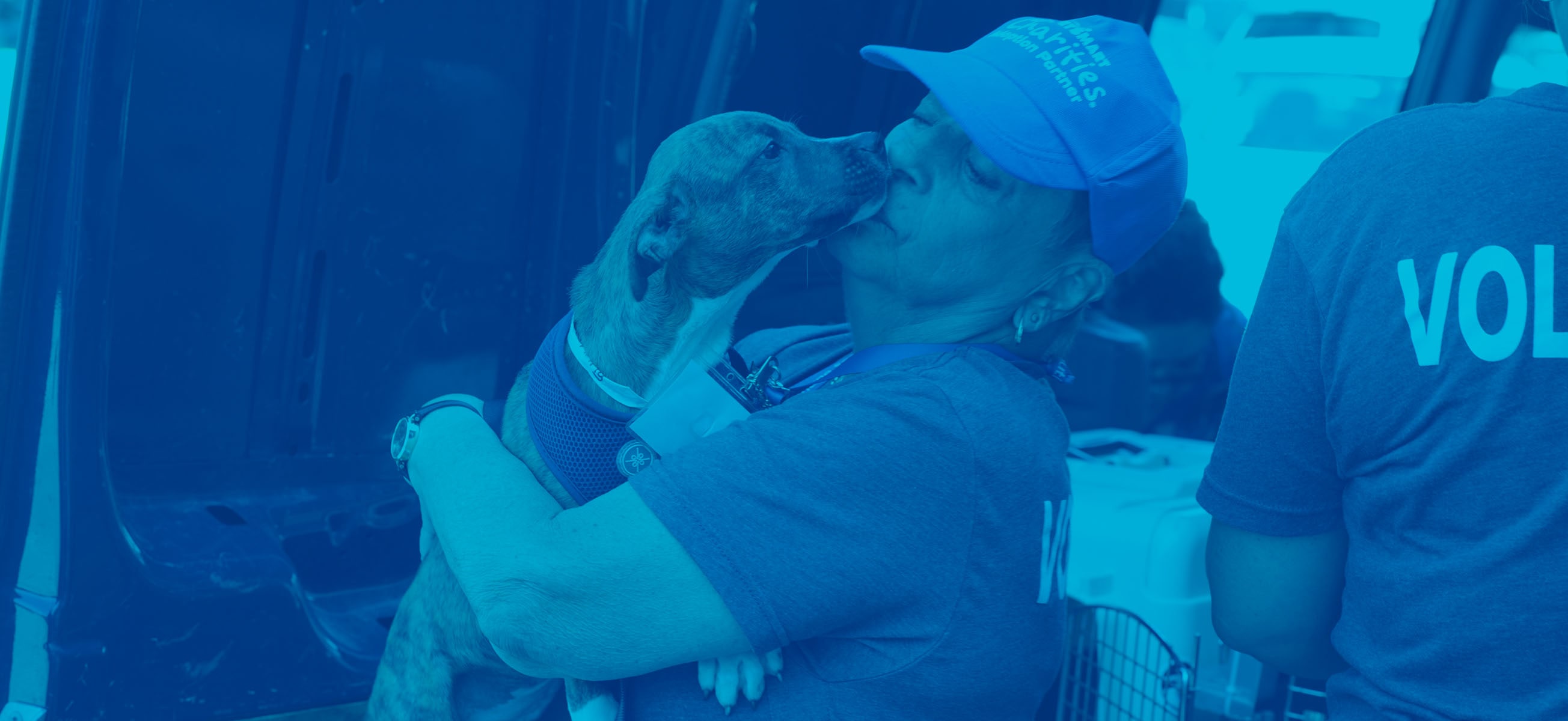 Adoption Partner Look Up | PetSmart Charities