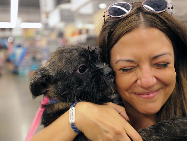 More than a Pet Charity: Connecting People & Pets | PetSmart Charities